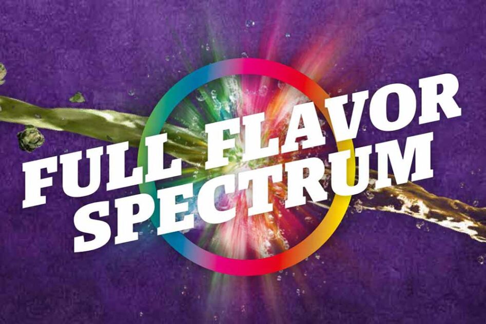 What Is SPECTRUM? - Ollie