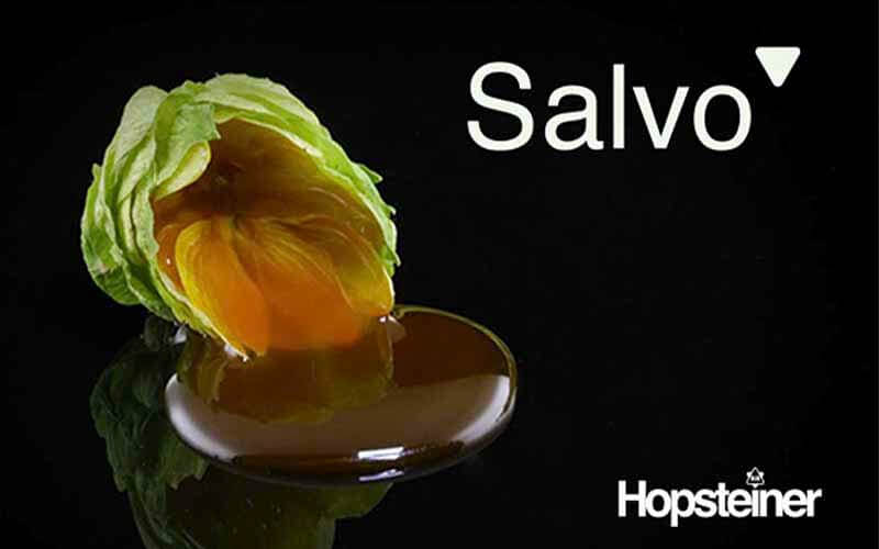 What Is Salvo™? And the Best Ways to Brew With It - Ollie