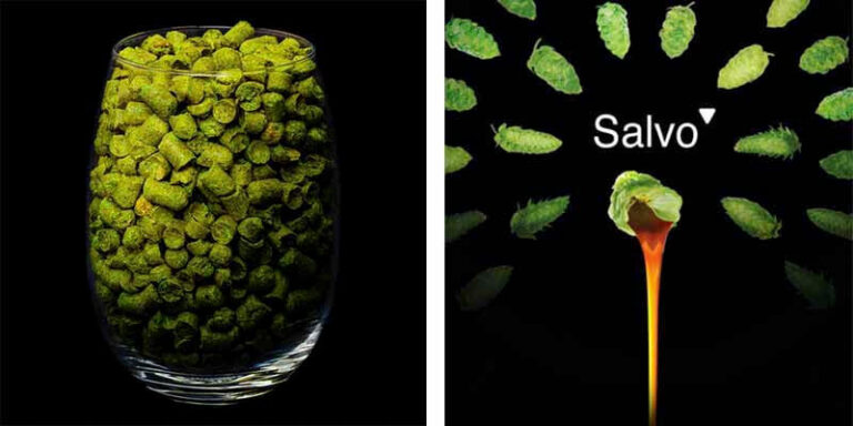 What Is Salvo™? And the Best Ways to Brew With It - Ollie