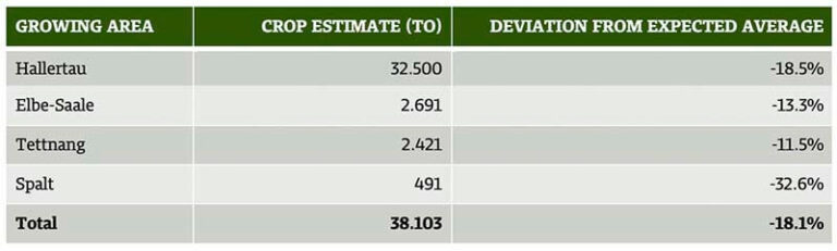 Hop Report: How Hops Performed in Europe in 2022 - Ollie