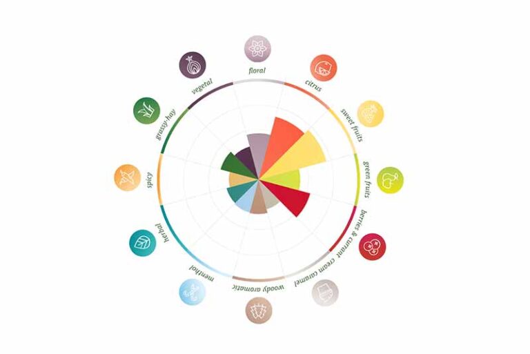 Mosaic Hops: The Essential Guide - Ollie