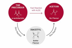 ALDC: How to Use It in the Brewing Process