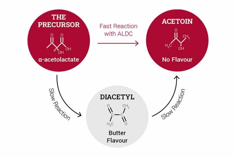 ALDC: How to Use It in the Brewing Process