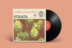 Strata Hops: Everything You Need to Know - Ollie